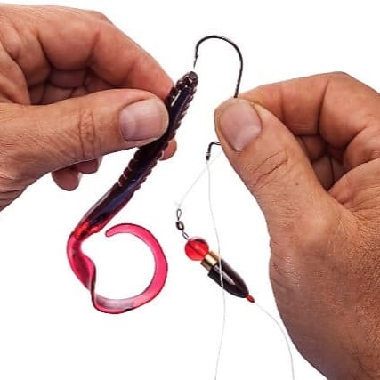 Carolina Rig Setup: What You Need To Know - Slamming Bass