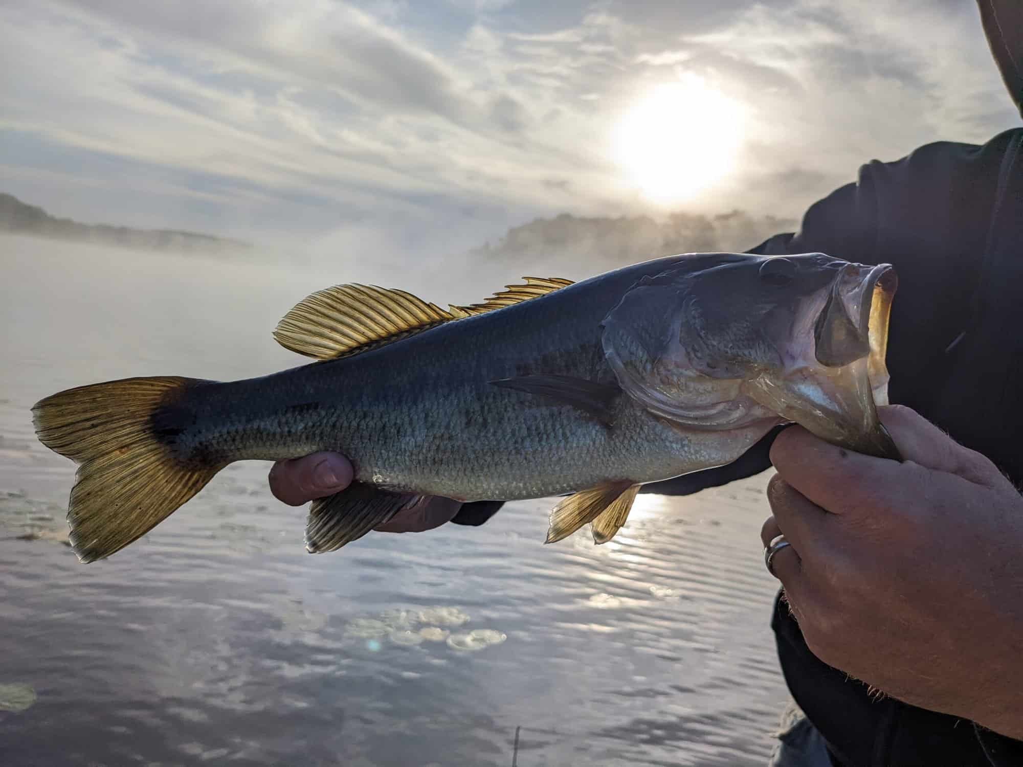Best Weather For Fishing Explained - Slamming Bass
