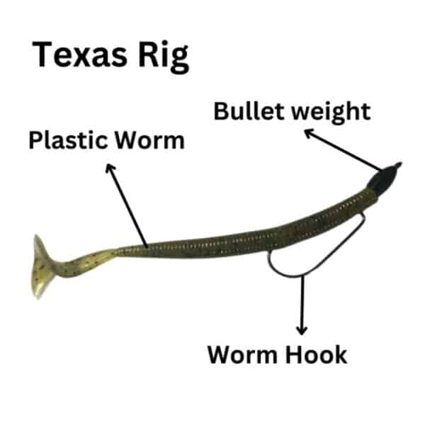 How To Set Up The Texas Rig For Bass Fishing - Slamming Bass
