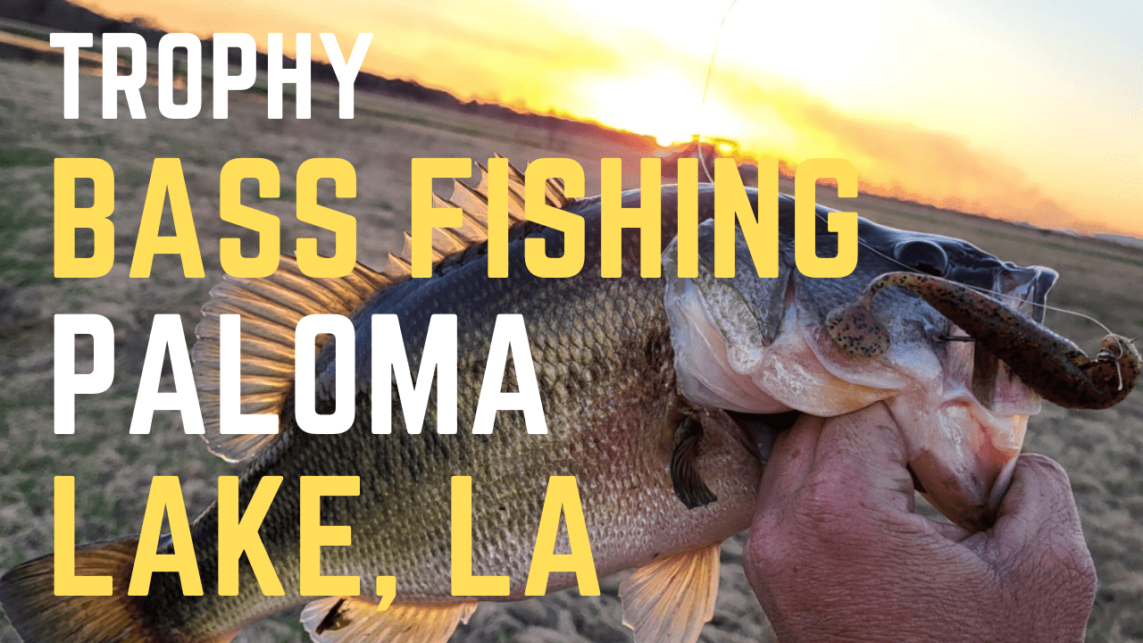 Paloma Lake: A Trophy Bass Haven - Slamming Bass
