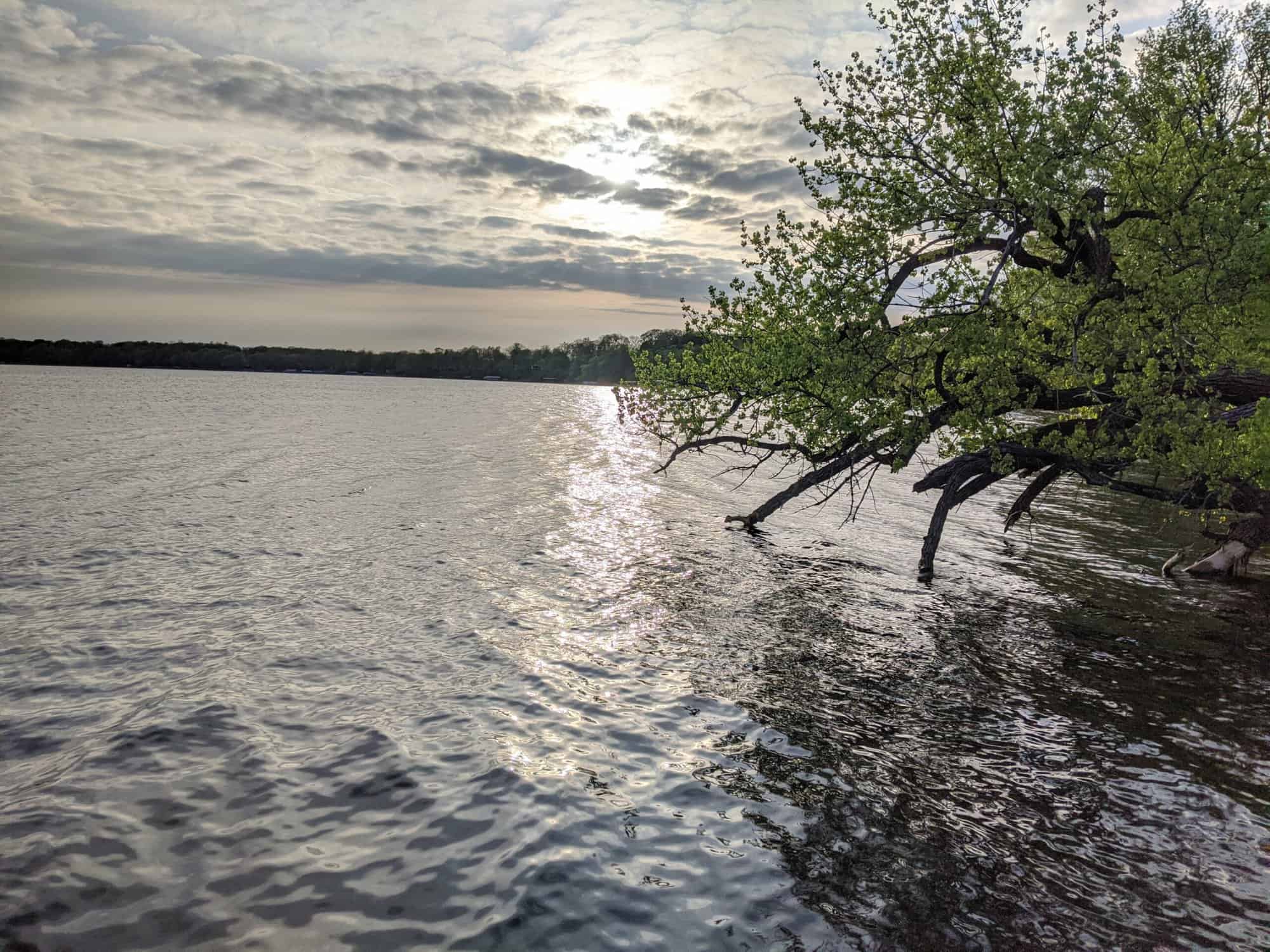 Fall Transition Bass Fishing: Understanding Bass Movements