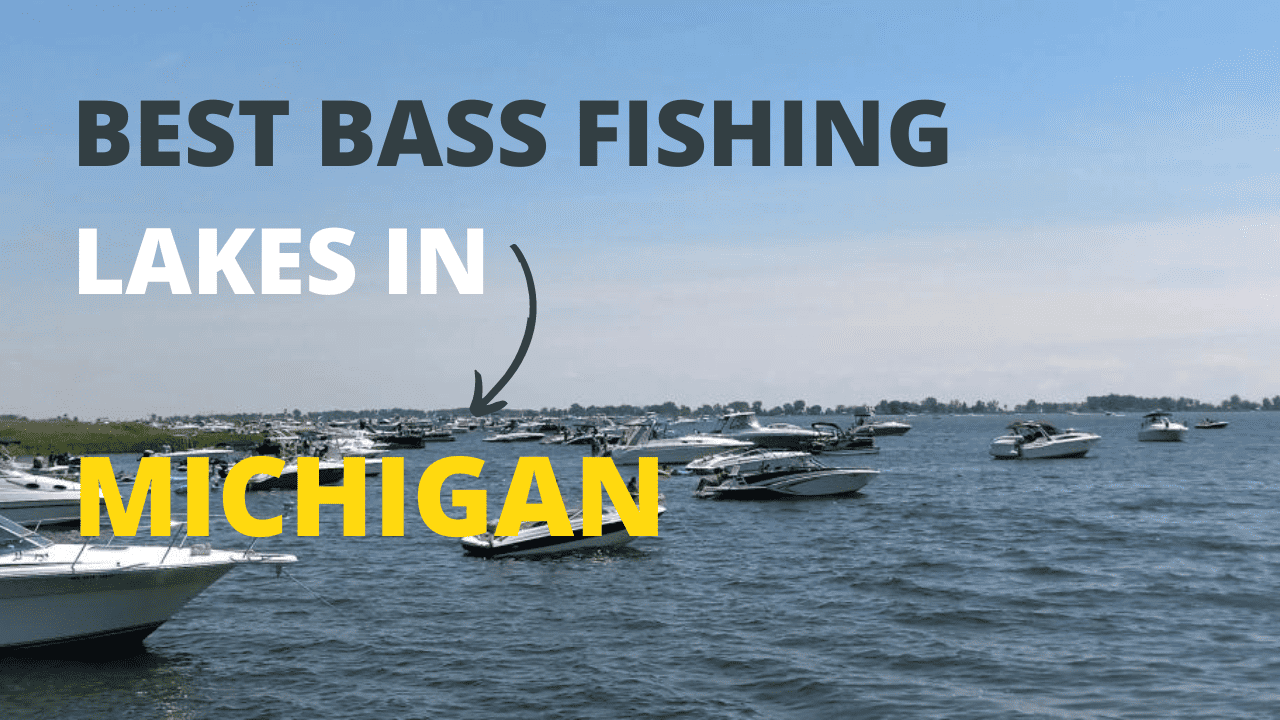 The Best Bass Fishing Lakes In Michigan