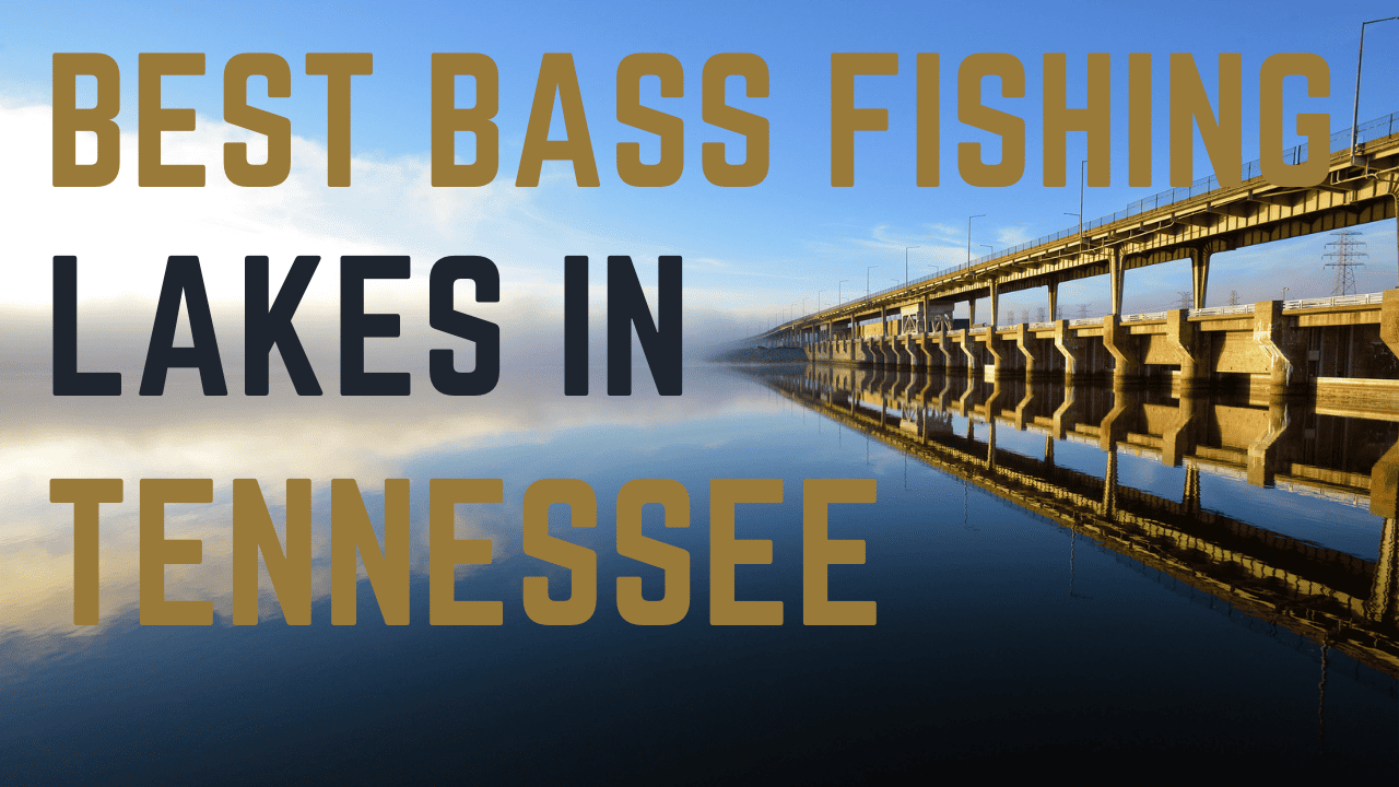 The Best Bass Fishing Lakes In Tennessee - Slamming Bass