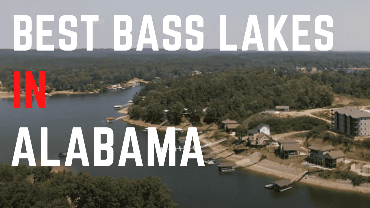 The Best Bass Fishing Lakes In Alabama - Slamming Bass