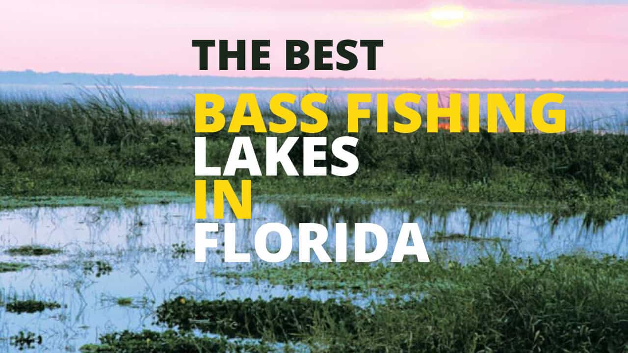 The Best Bass Fishing Lakes In Florida - Slamming Bass