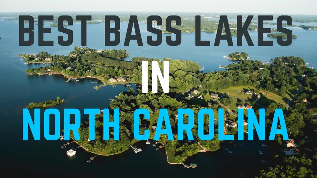The Best Bass Fishing Lakes In North Carolina - Slamming Bass