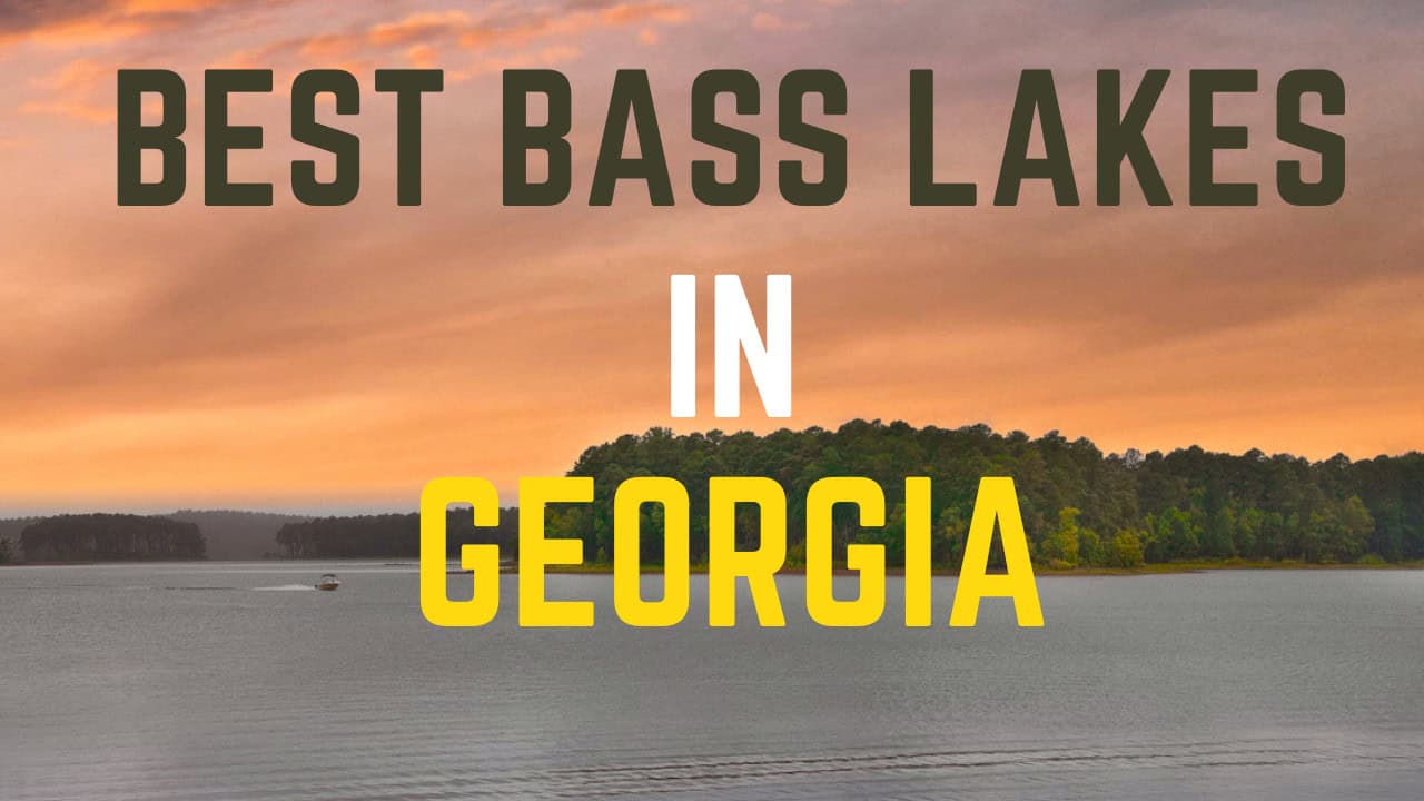 The Best Bass Fishing Lakes In Georgia - Slamming Bass