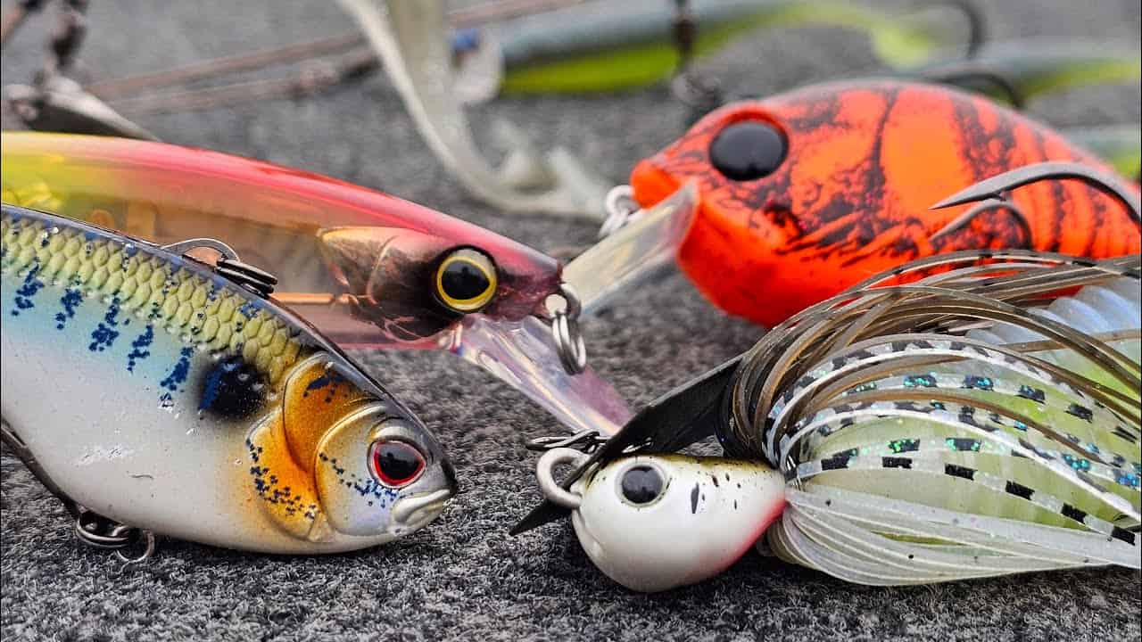 Best Bait For Bass In June: Top Picks For Every Condition