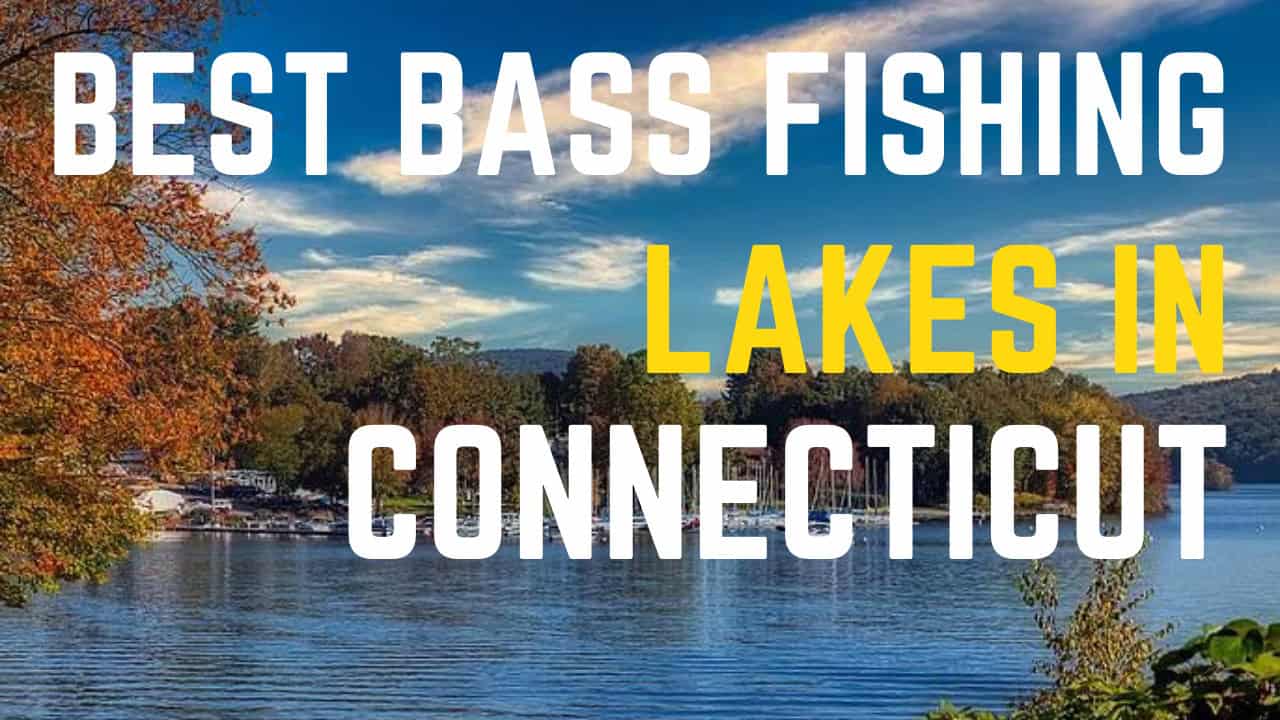 The Best Bass Fishing Lakes In Connecticut - Slamming Bass
