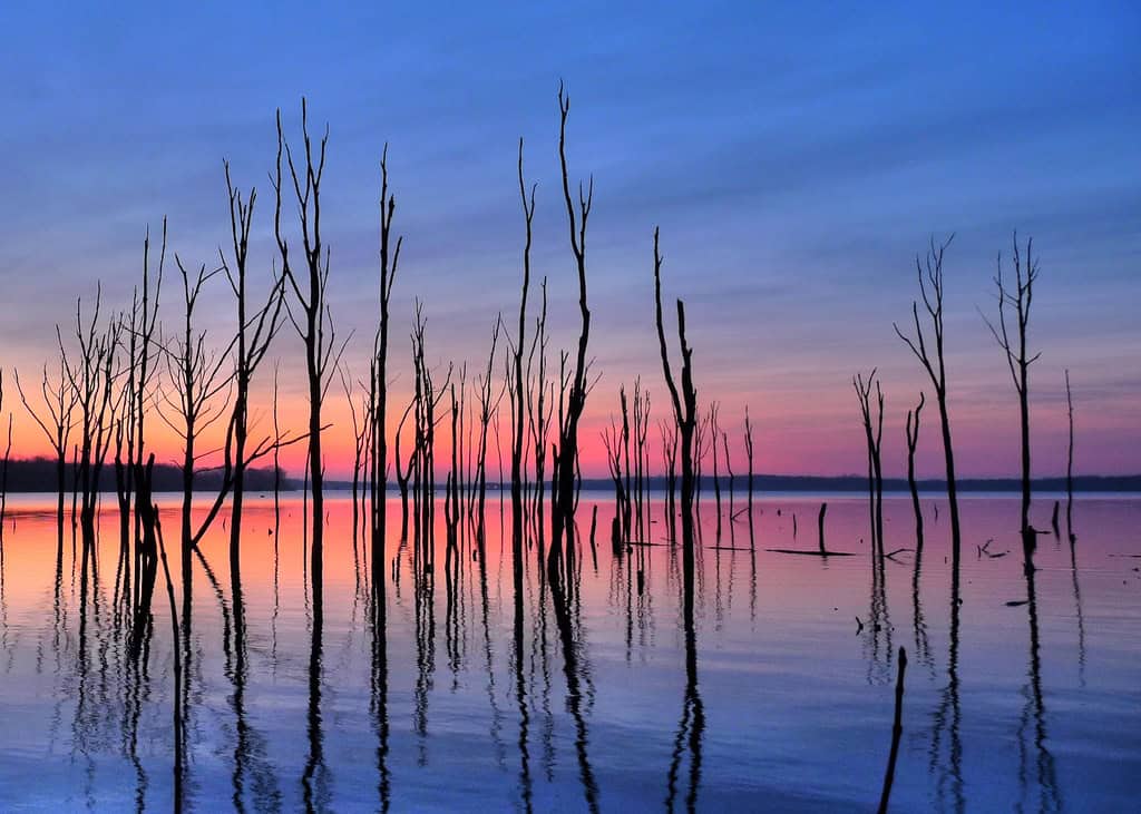 The Best Bass Fishing Lakes In New Jersey - Slamming Bass