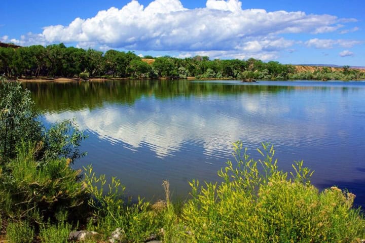 The Best Bass Fishing Lakes In Colorado - Slamming Bass