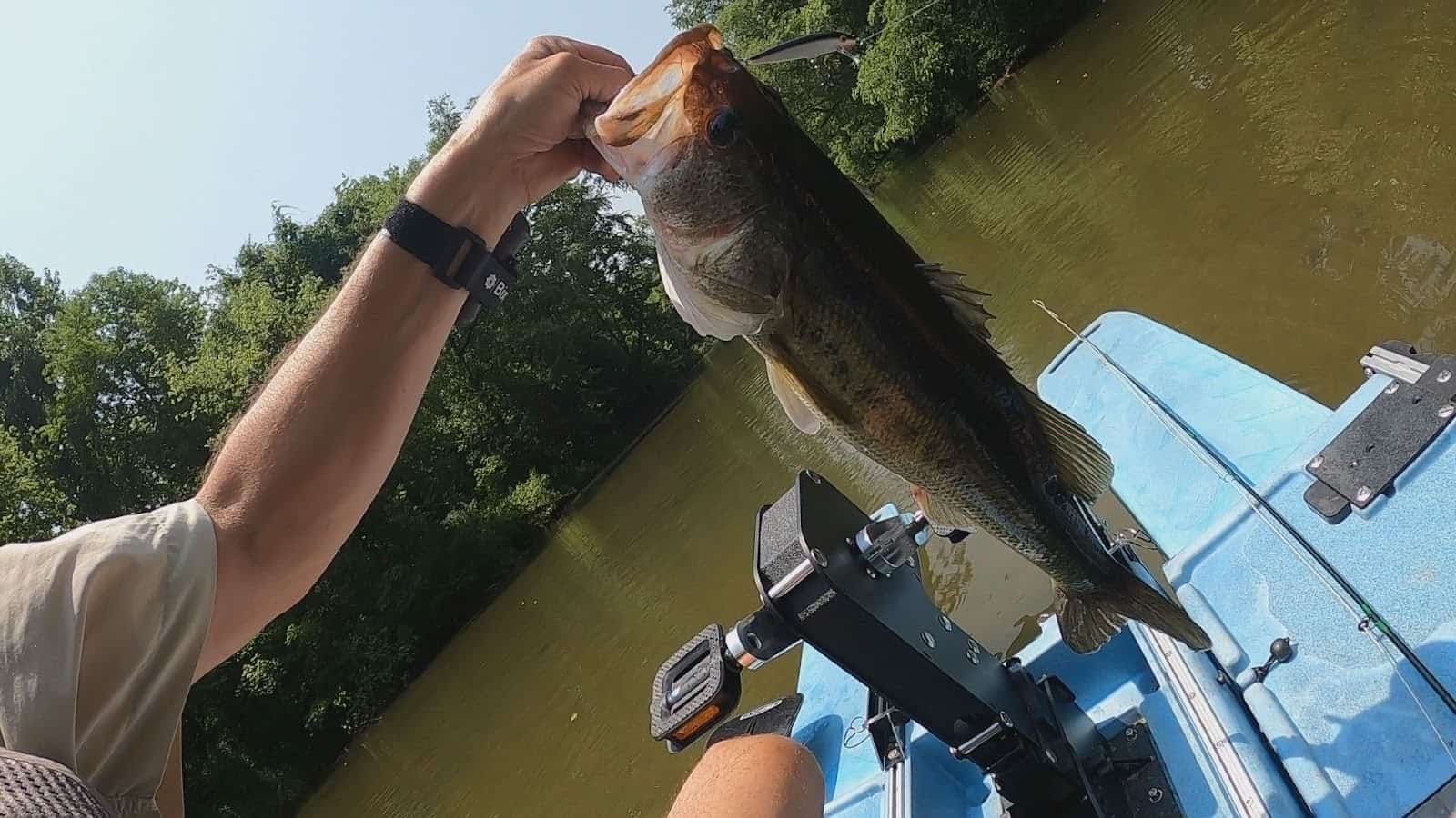Kayak Setup For Bass Fishing: Tips To Maximize Space And Efficiency