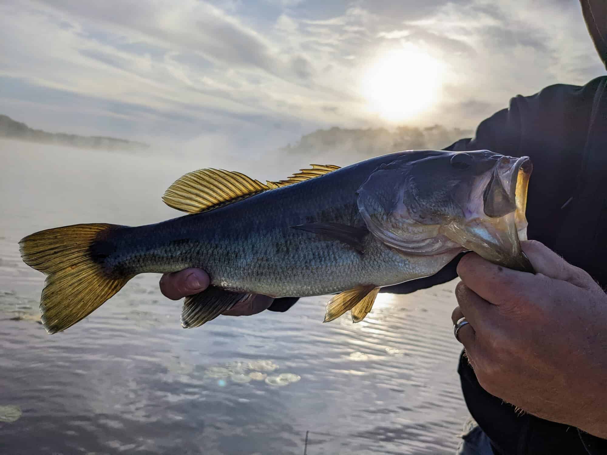 April Bass Fishing In Northern States - Slamming Bass